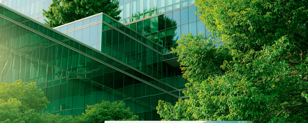 Green Solutions with Stage V - Baudouin